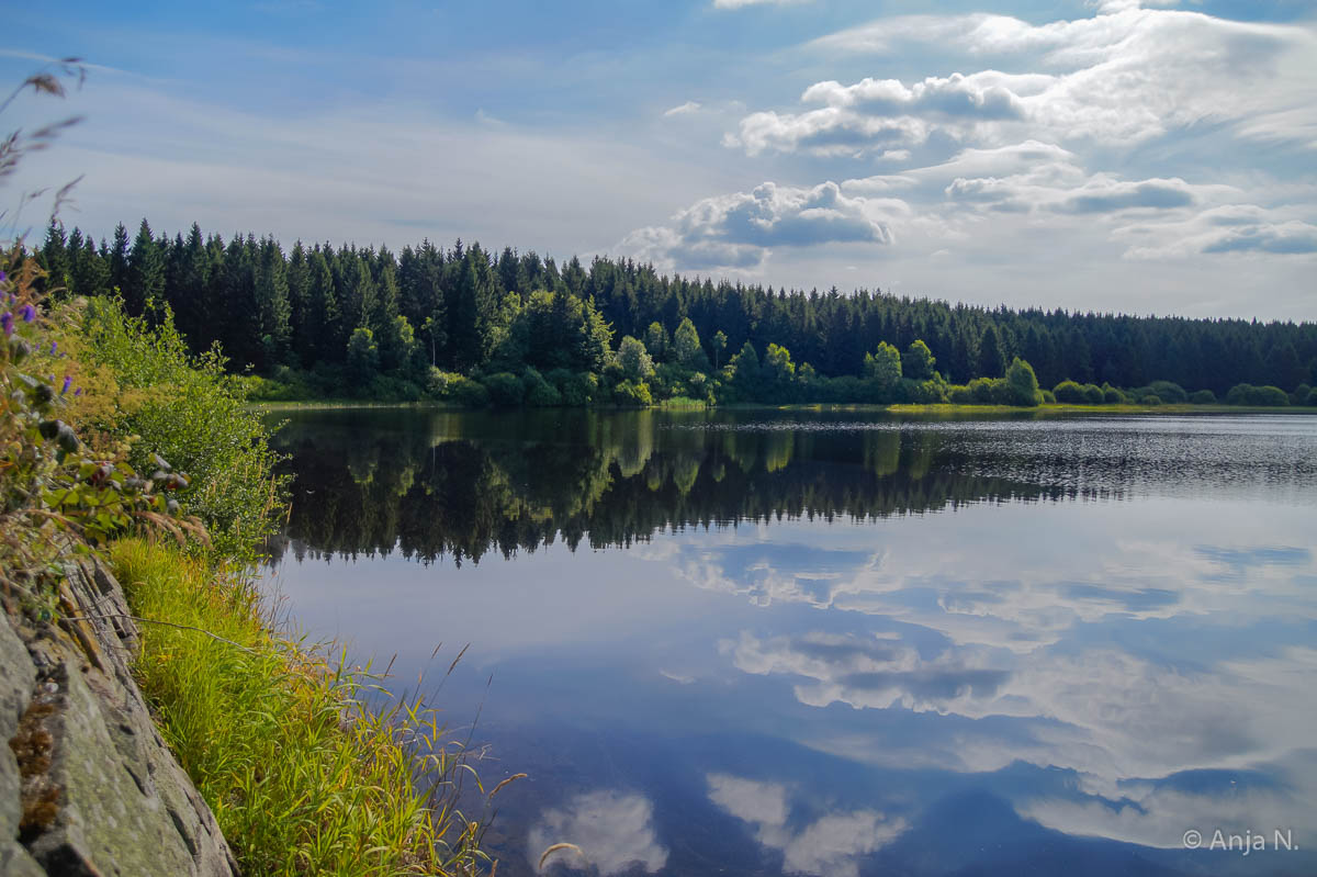 Fotoworkshop-Wochenende im Harz - Sommer 2018